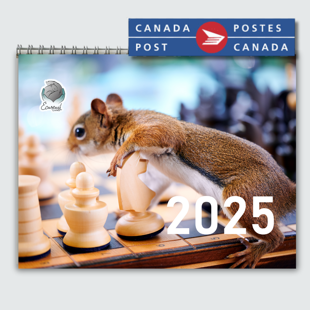 Calendrier Écureuil Land 2025 | Écureuil Land - Entraide pour les ...